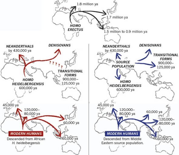ΕΡΓΑΣΤΗΡΙΟ ΑΡΧΑΙΟΥ DNA - Ancient DNA LAB - Έρευνα
